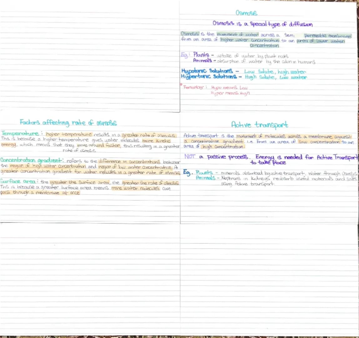 Understanding Diffusion, Osmosis, and Active Transport (Biology) as PDF ...